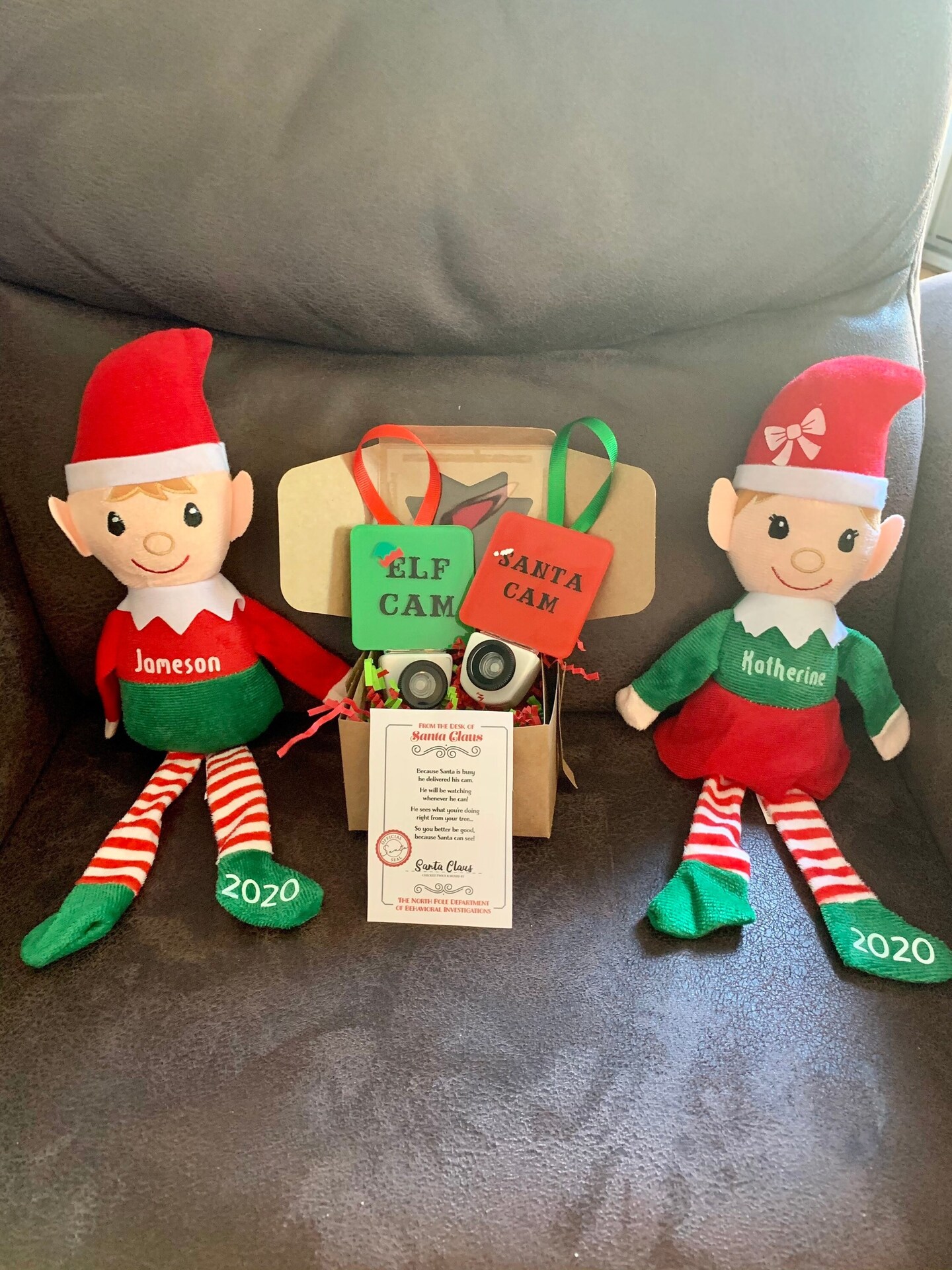 Handmade Personalized House elf or Santa, Elf Cam Christmas Ornament ...