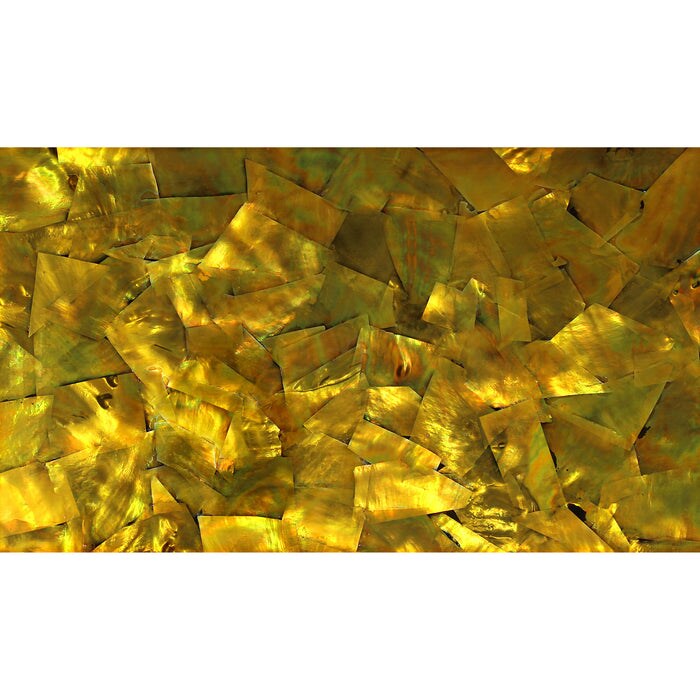 Shell Veneer, 5.5 x 9.5 inches | WMOP, BMOP, Abalone | Includes 3M ...