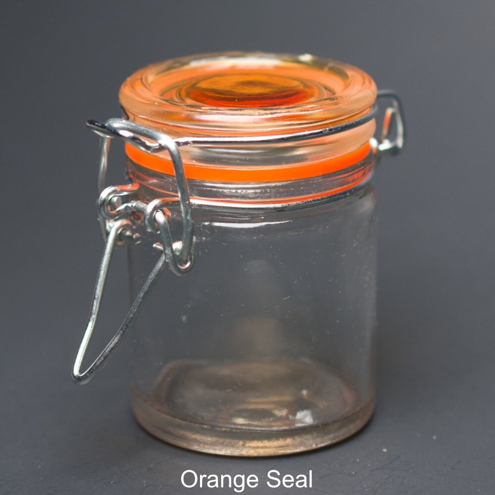 Glass Display Jar with Latch – 57111 | Michaels