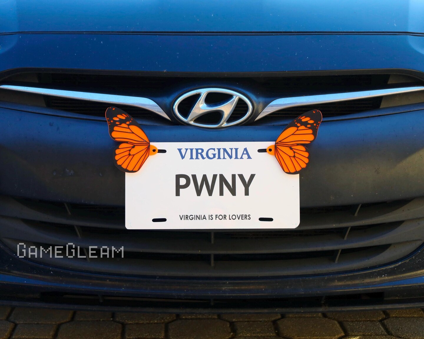 License Plate Butterfly Wings - One Pair - Pick your colors ...
