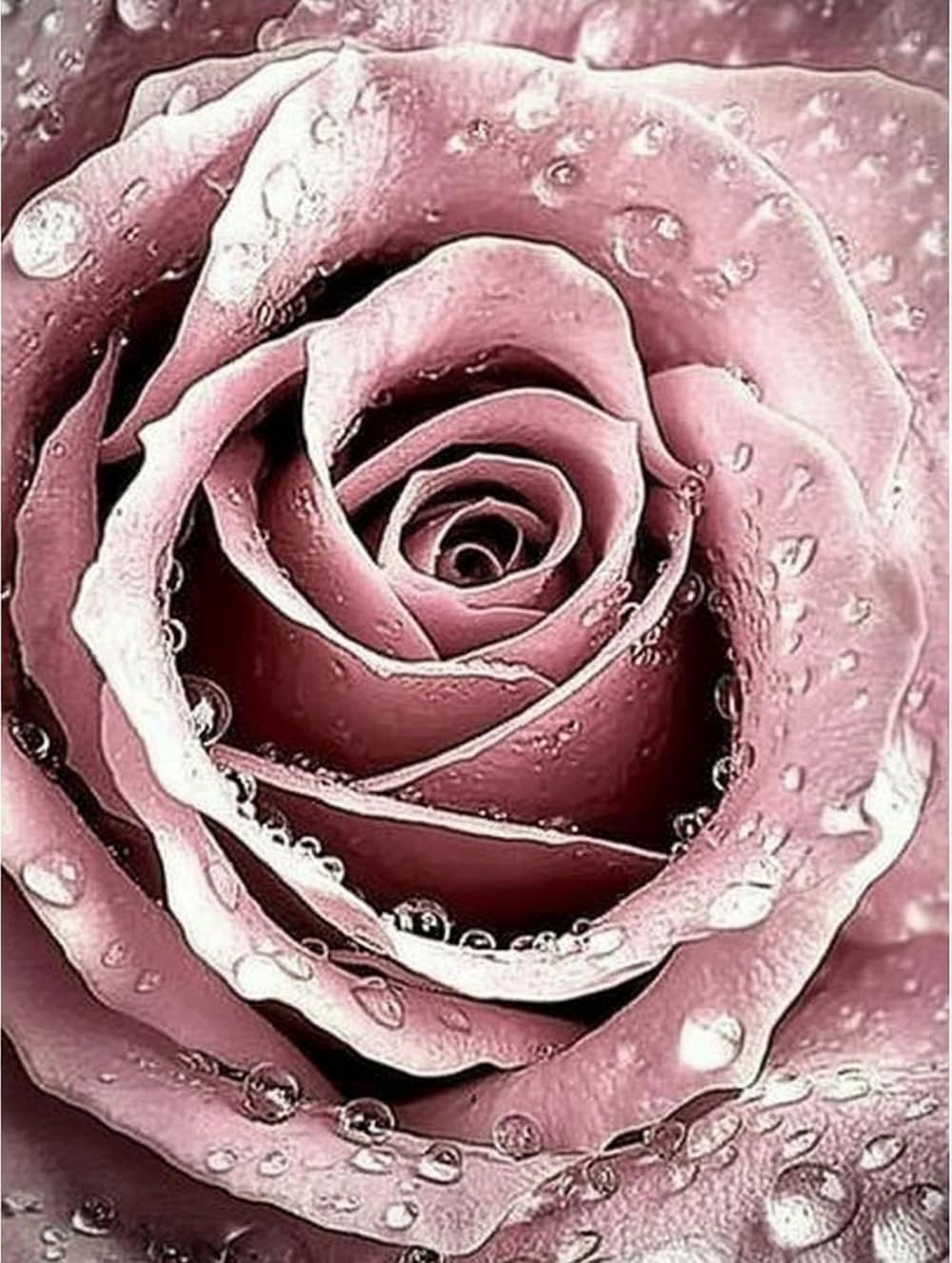 Pink Rose Diamond Painting Kit, 5D Full Round Drill Flower Diamond ...