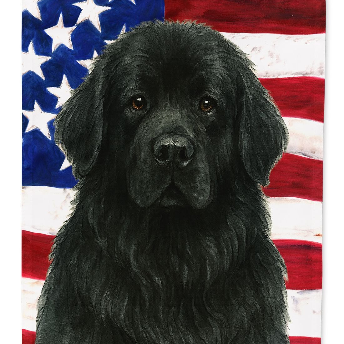 Edge Collections - 28" X 40" - Black - Newfoundland Large Porch ...