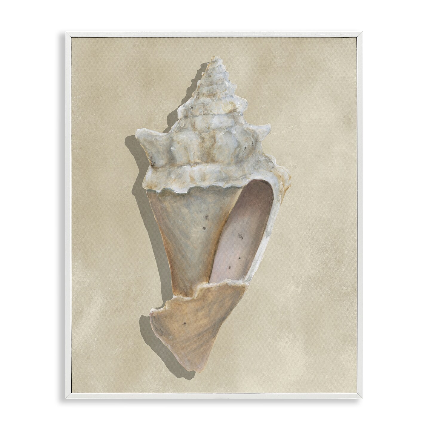 Stupell Industries Tan Toned Conch Shell Framed Giclee By Michael Willett | Michaels