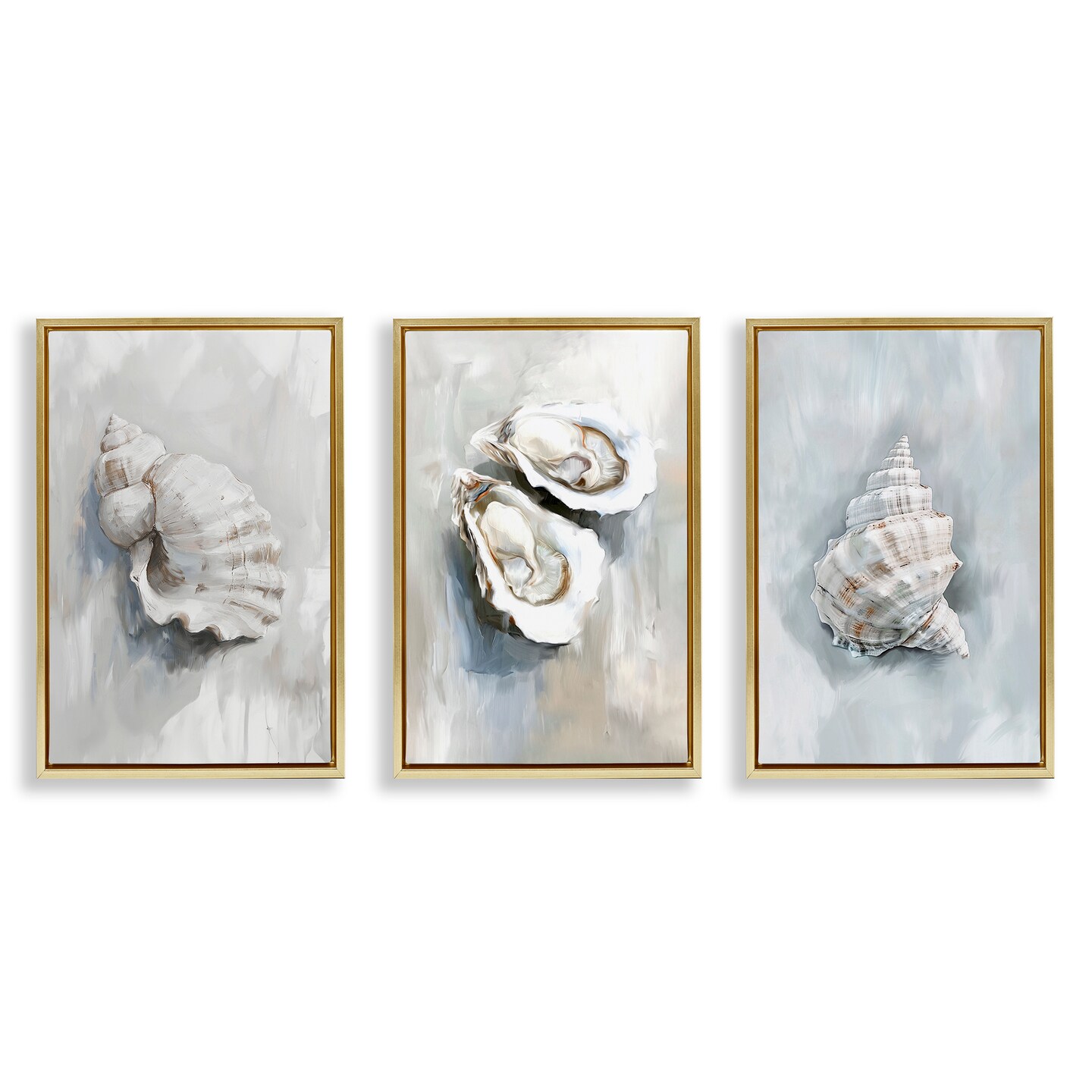 Stupell Industries Various Seashell Mirages 3pc Floating Frame Set By Ramona Murdock | Michaels