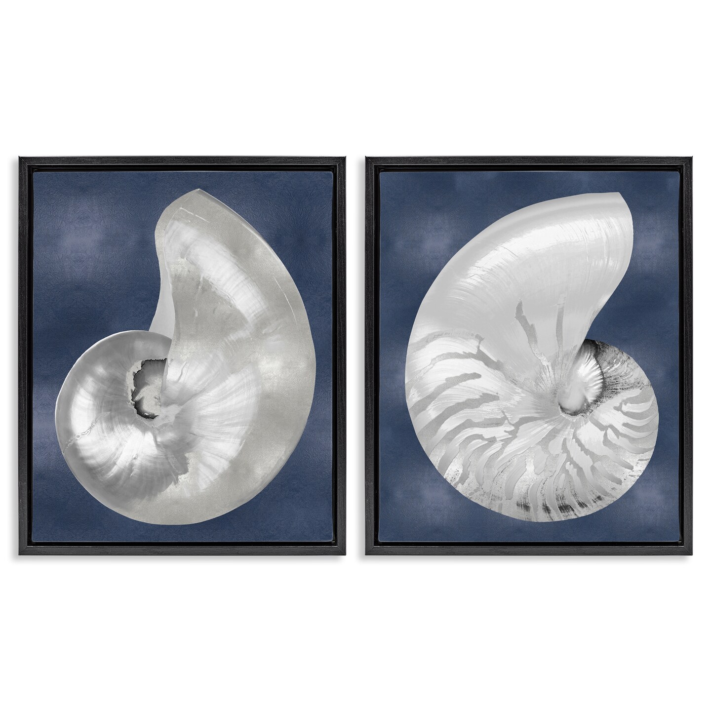 Stupell Industries Nautilus Spiral Shells on Blue 2pc Floating Frame ...