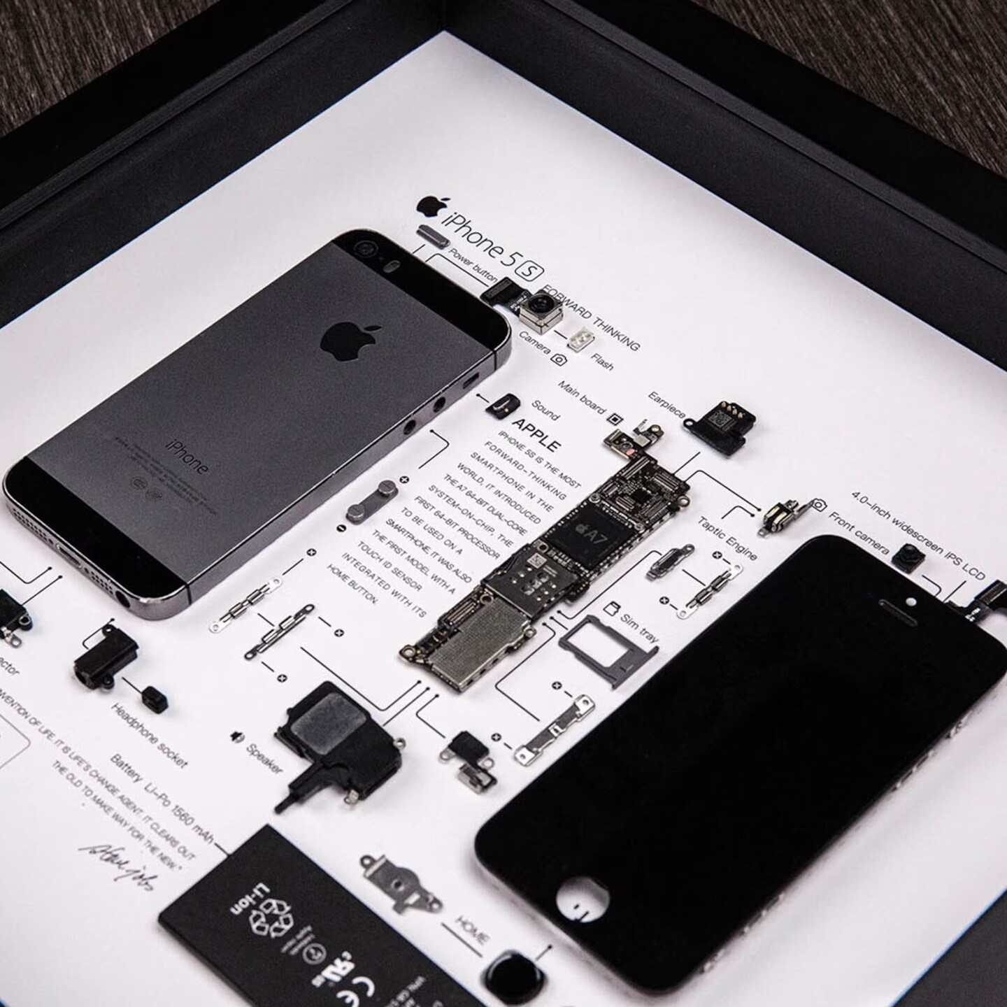 Framed iPhone 5S Disassembled Phone Teardown iphone Wall Art Gifts for ...