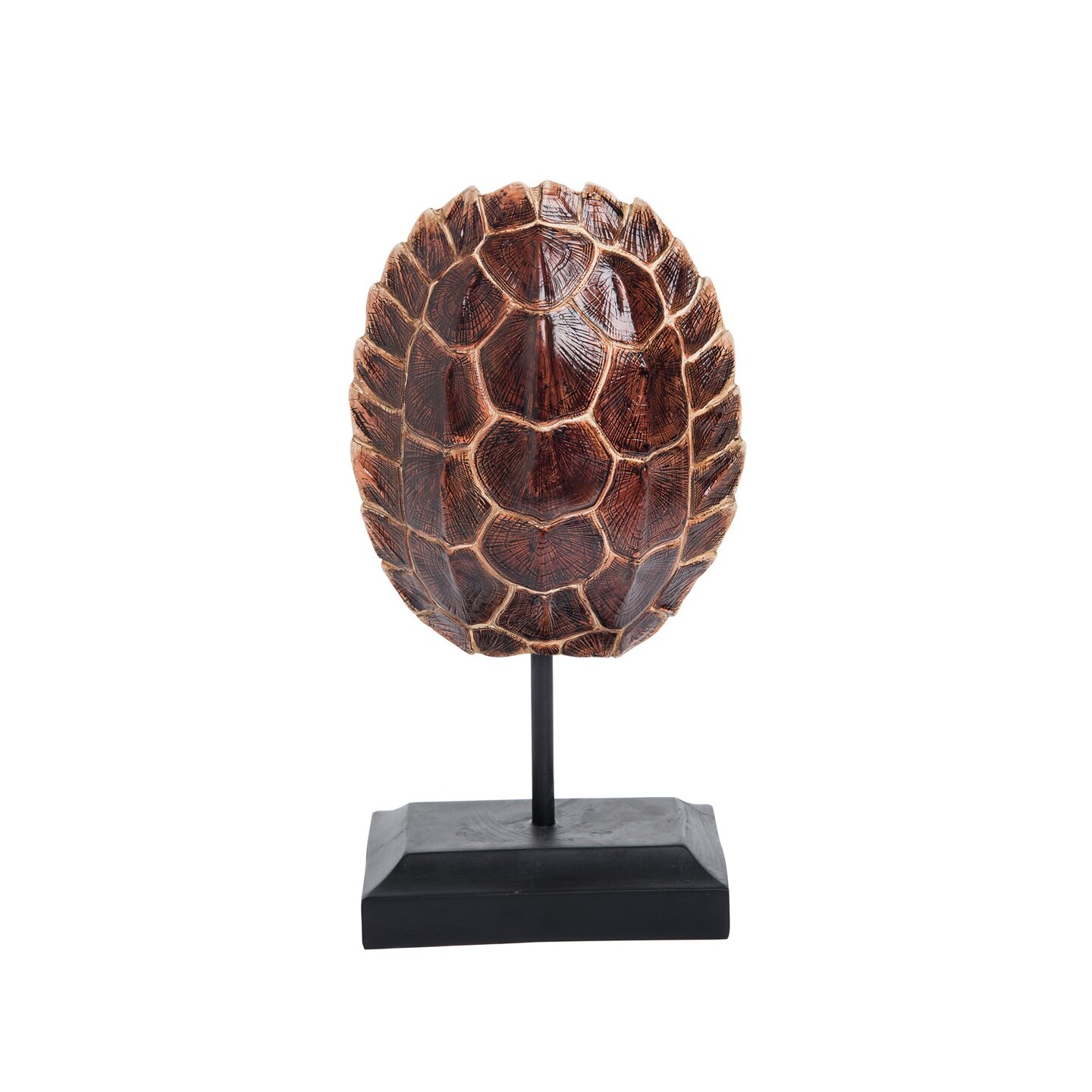 Resin Turtle Shell On Wood Stand | Michaels
