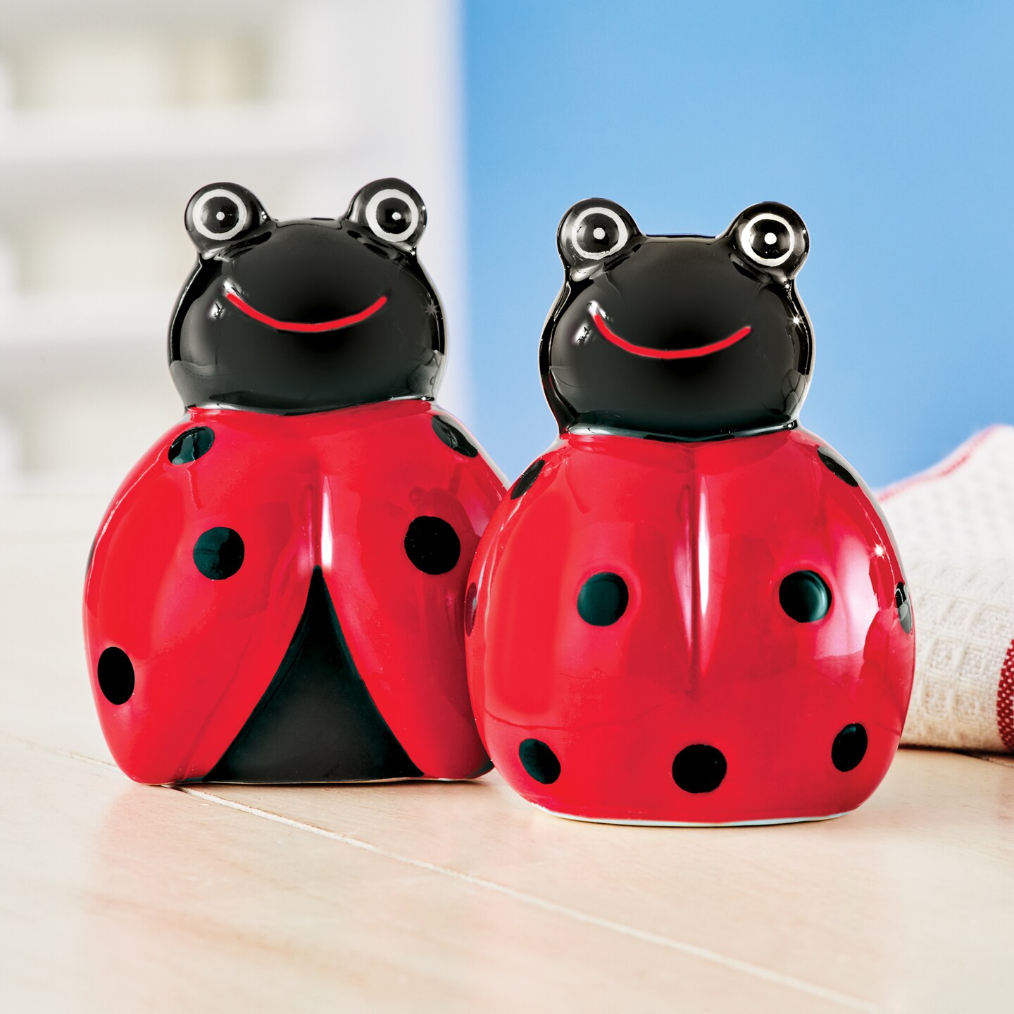 Collections Etc Ceramic Ladybug Salt and Pepper Shaker Set | Michaels