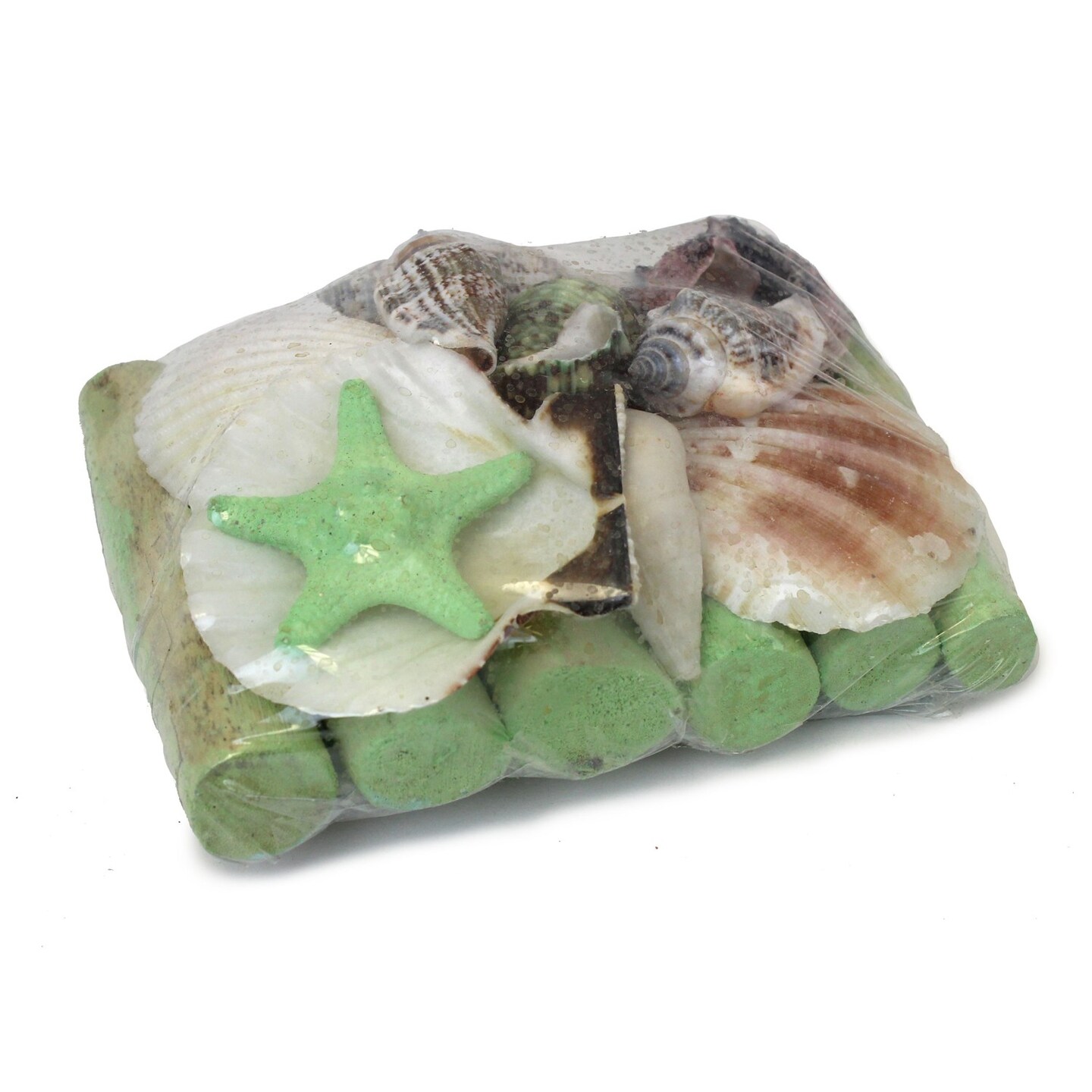 4" GREEN DRIFTWOOD SSORTED SHELL PACK | Michaels