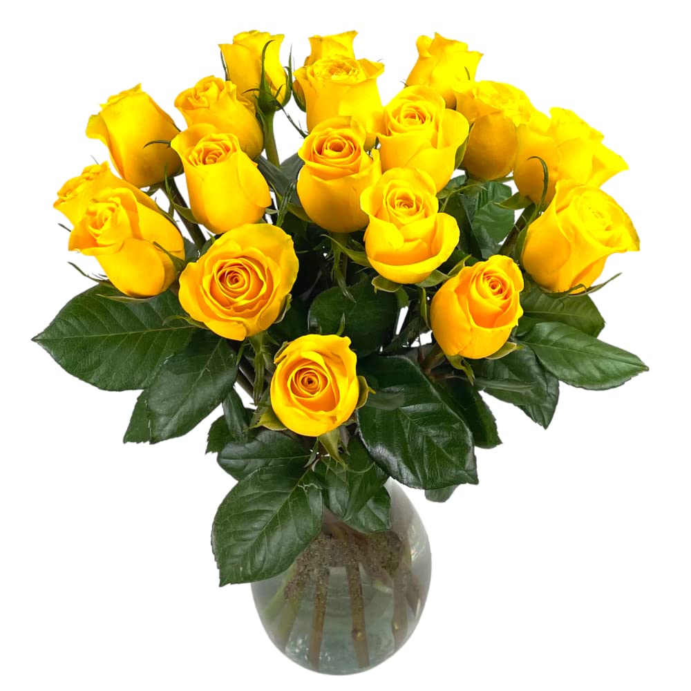 18 Yellow Roses | Fresh Flowers for Delivery with Opal Vase | Shipped ...