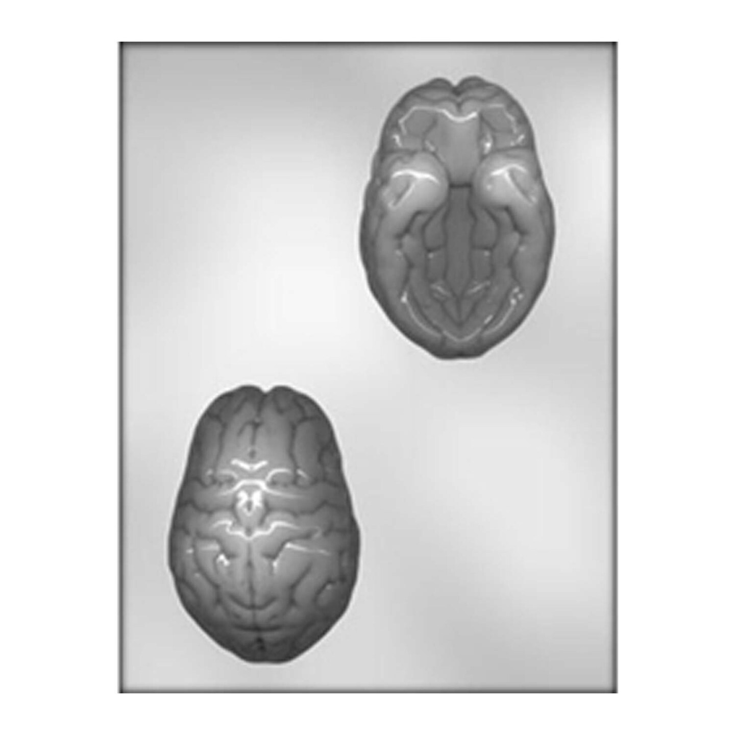 3D Brain Chocolate Mold | Michaels