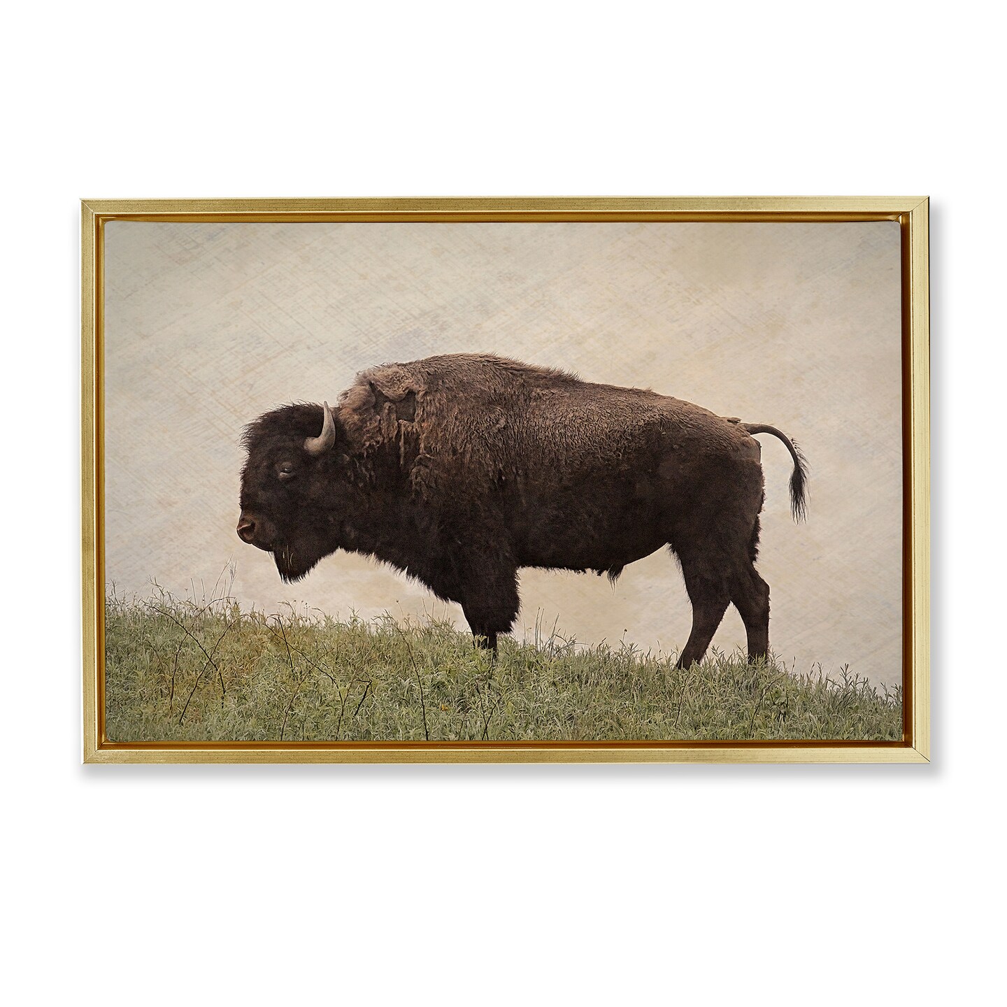 Stupell Industries Serene Buffalo on Country Hill Floating Frame Design ...