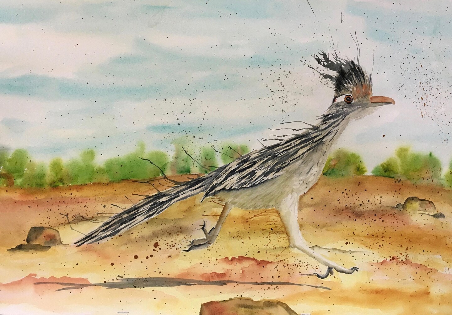 Print of Roadrunner from my Painting Original Watercolor, Desert ...