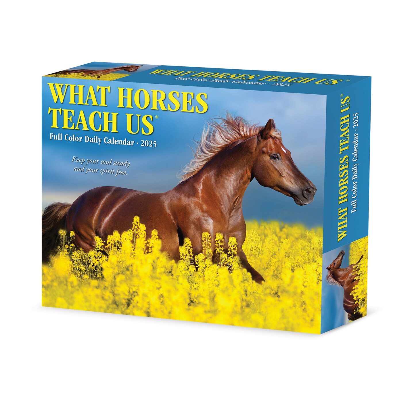 What Horses Teach Us 2025 Box Calendar, Daily Desktop | Michaels