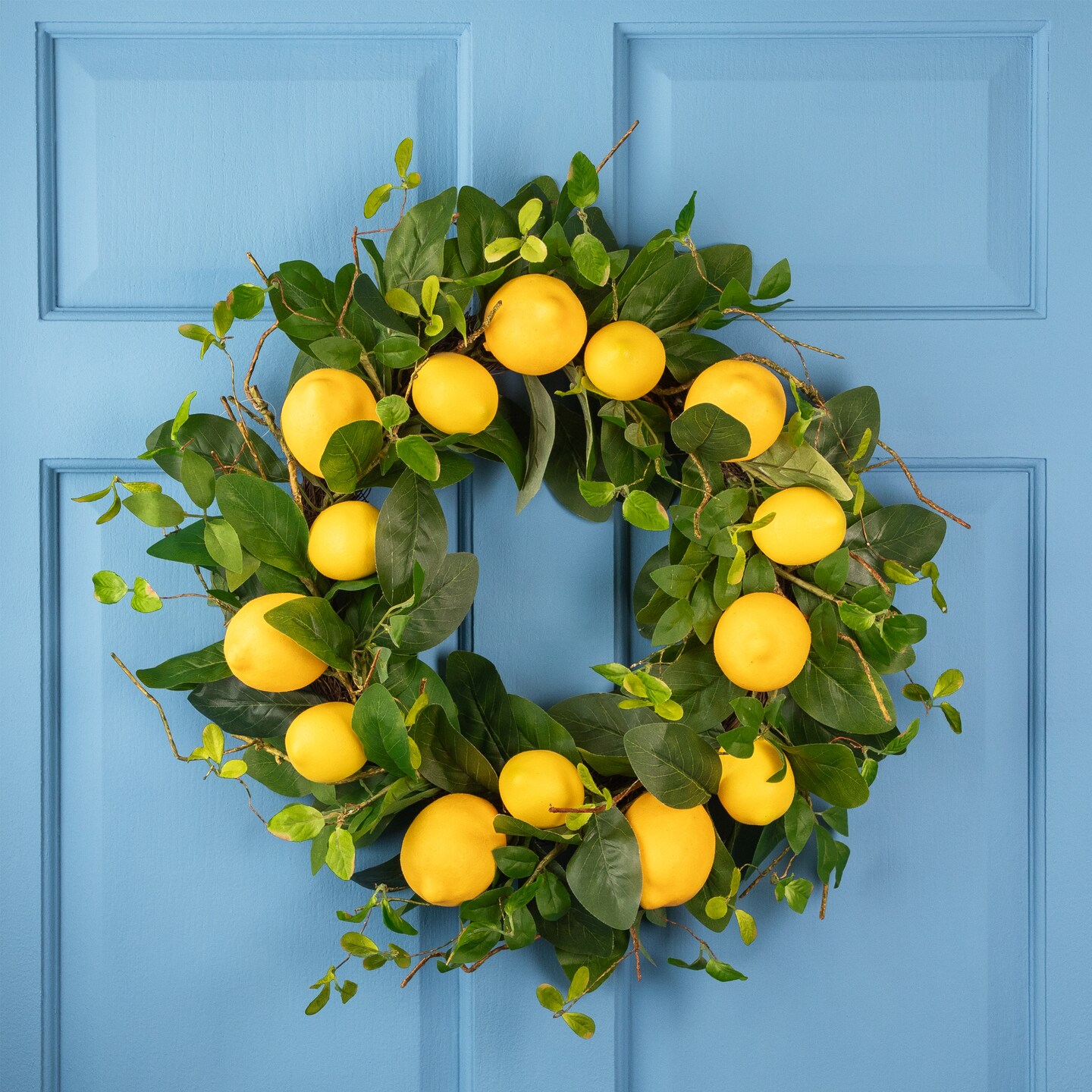 Northlight Lemons and Assorted Foliage Spring Wreath - 20" - Yellow ...