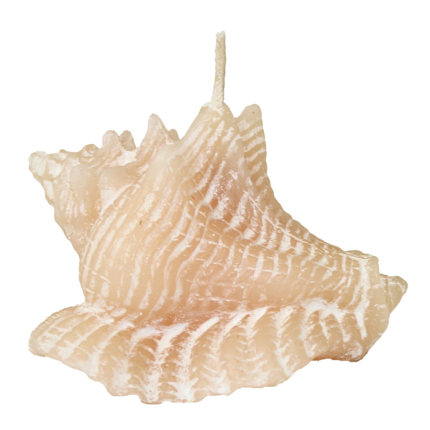 White Shell Shaped Candle | Michaels