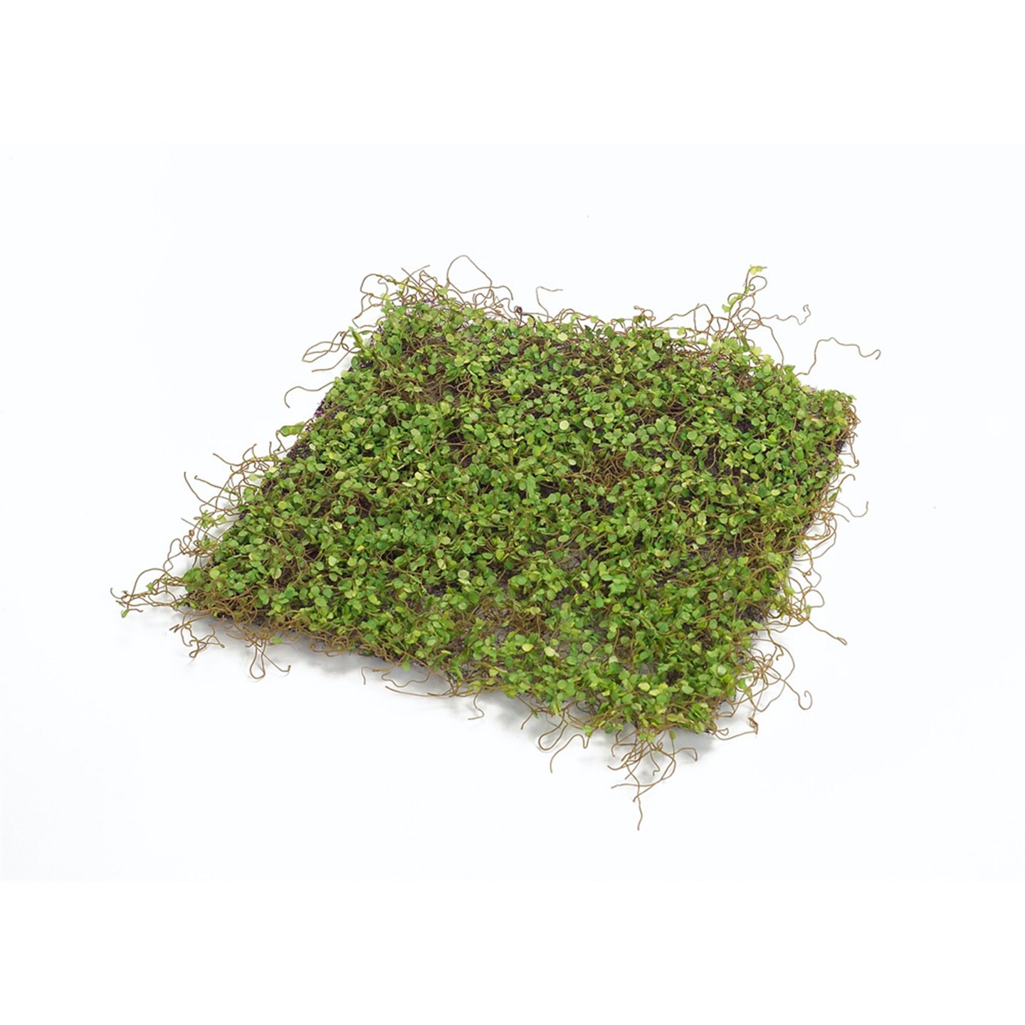 Contemporary Home Living Club Pack of 12 Green Artificial Moss Square ...
