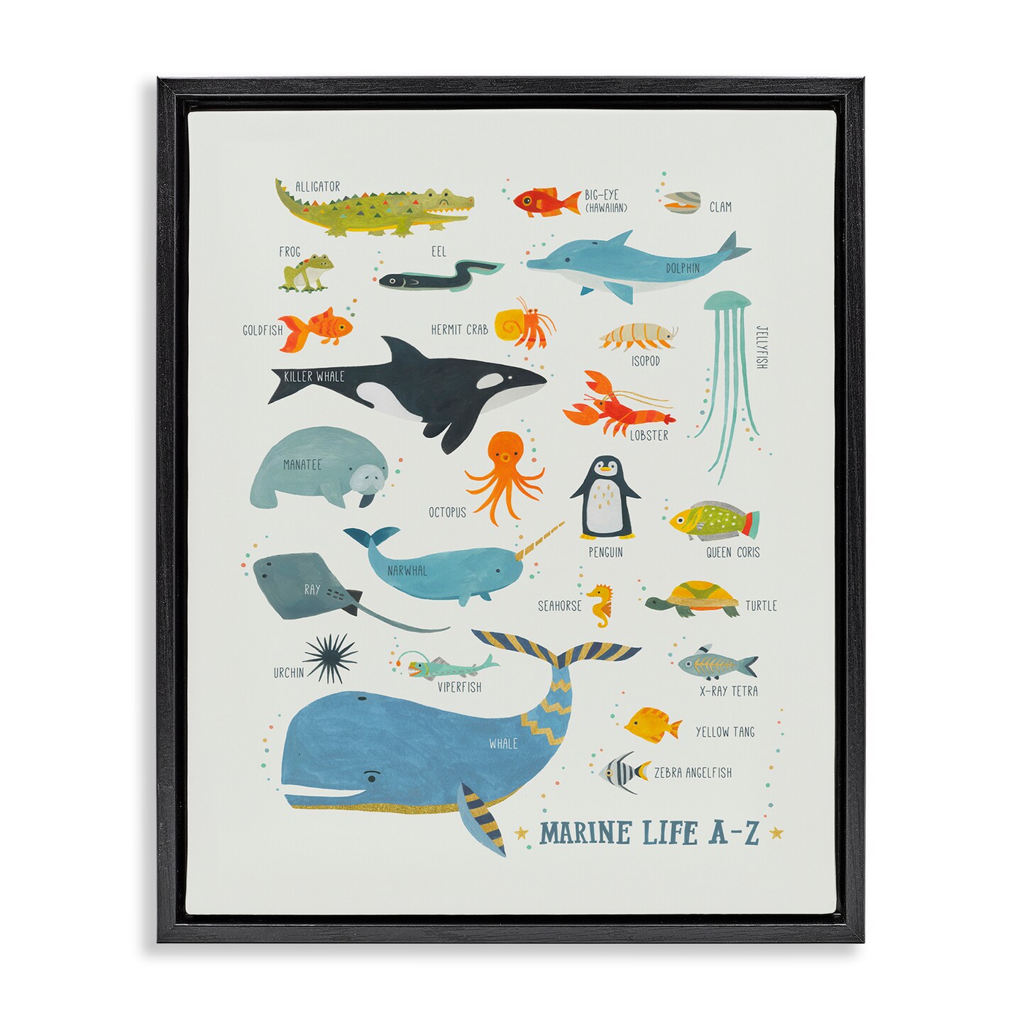 Stupell Industries Marine Life ABC Alphabet Framed Floater Canvas Wall ...