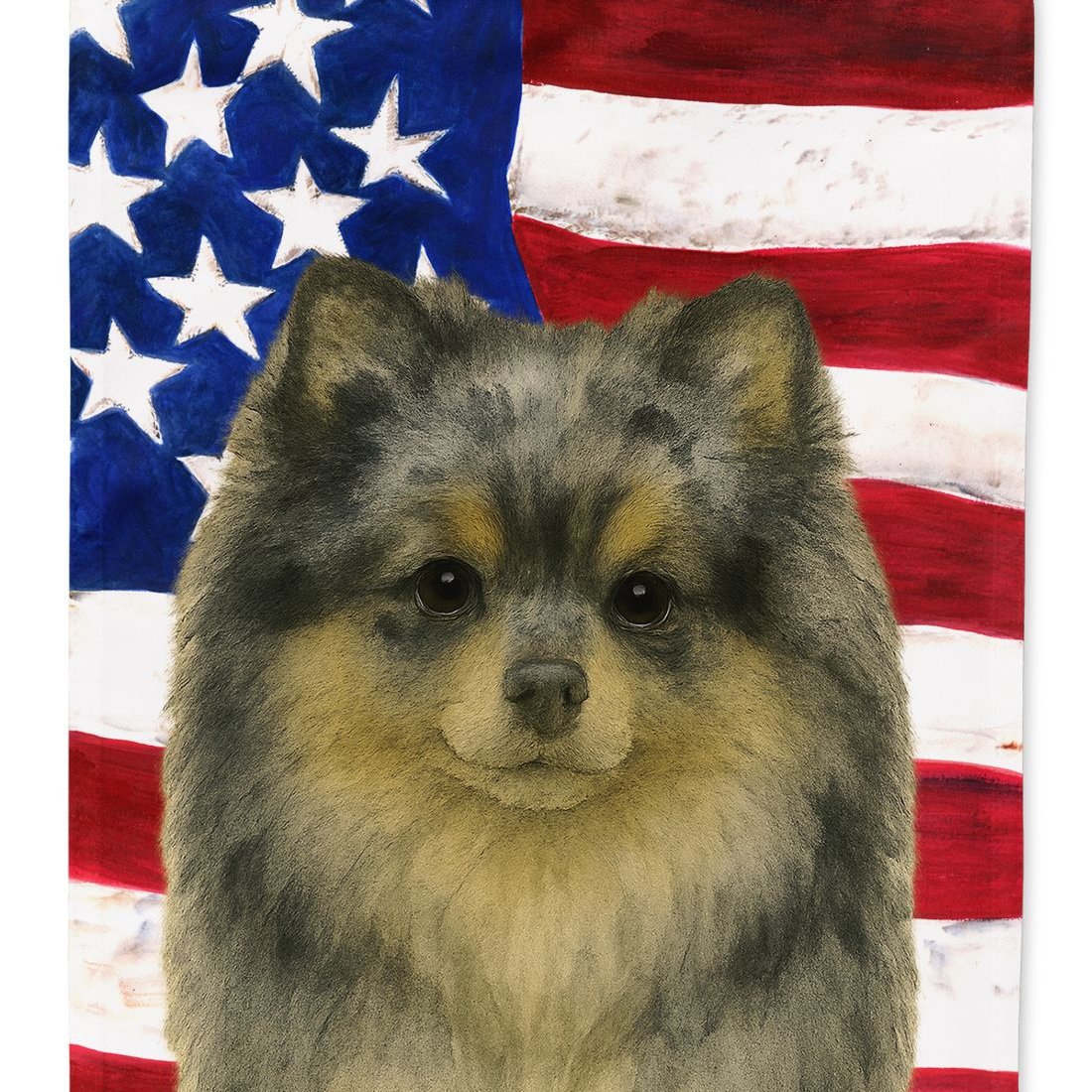 Edge Collections - 28" X 40" - Blue - Merle Pomeranian Large Porch ...