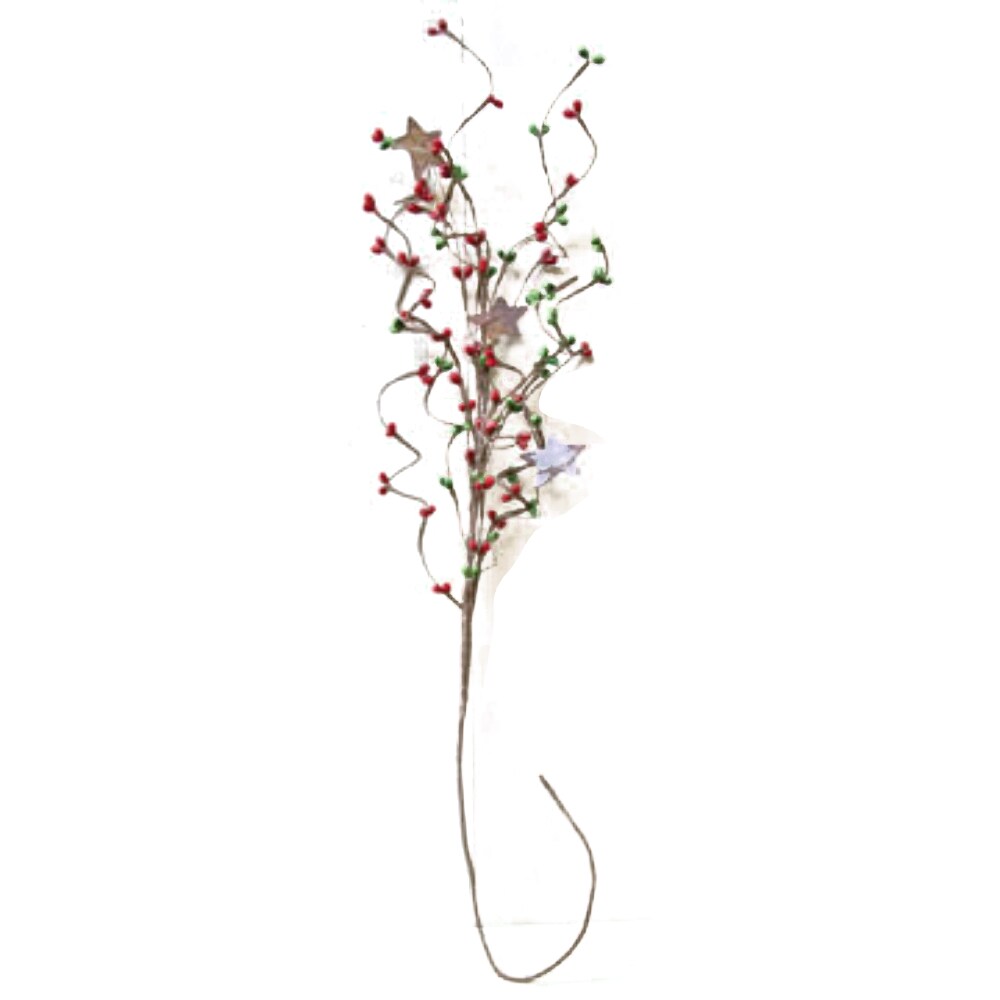 Decorative Pip & Star Spray | Michaels