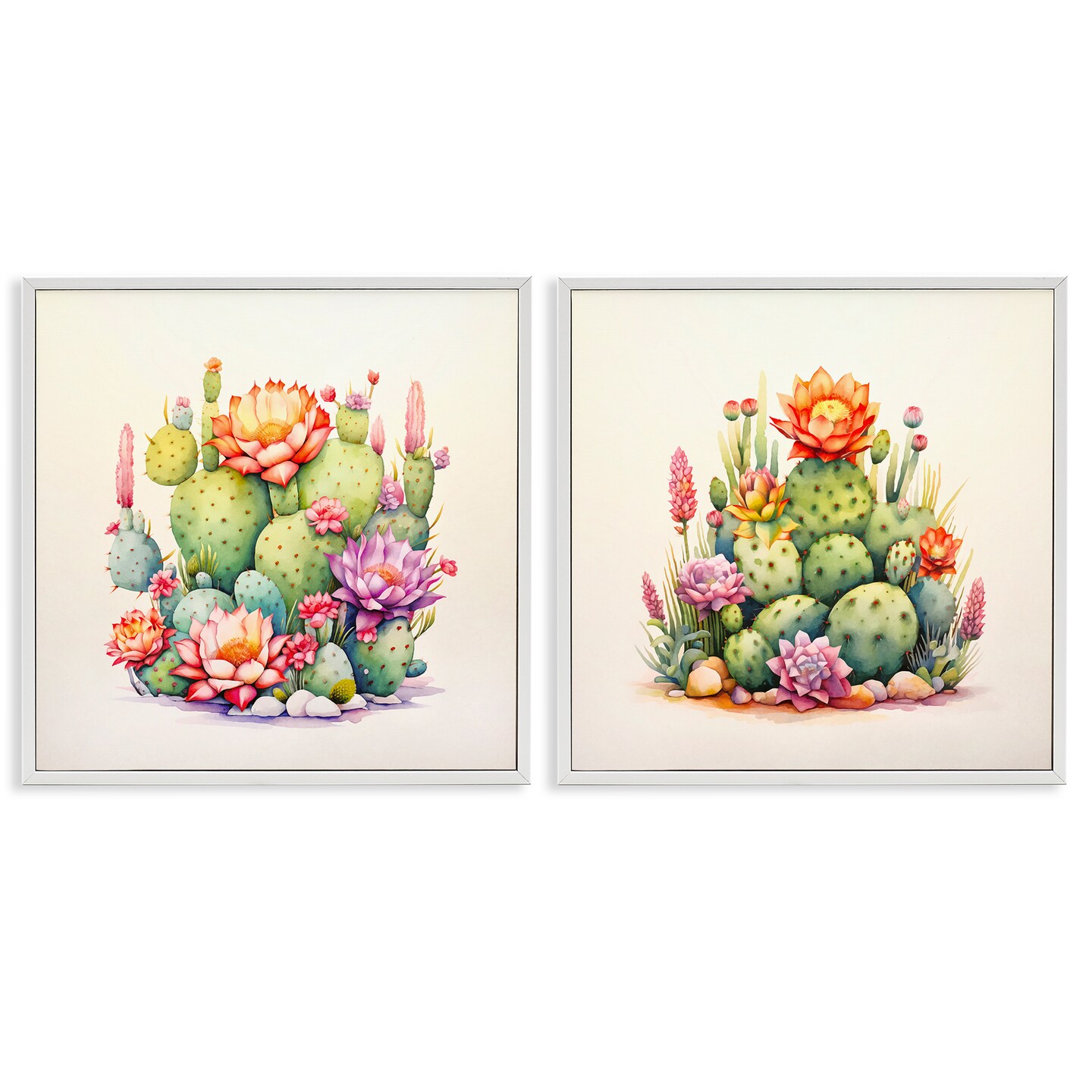 Stupell Industries Desert Spring Cactus Flowers 2 pc Framed Giclee Wall ...