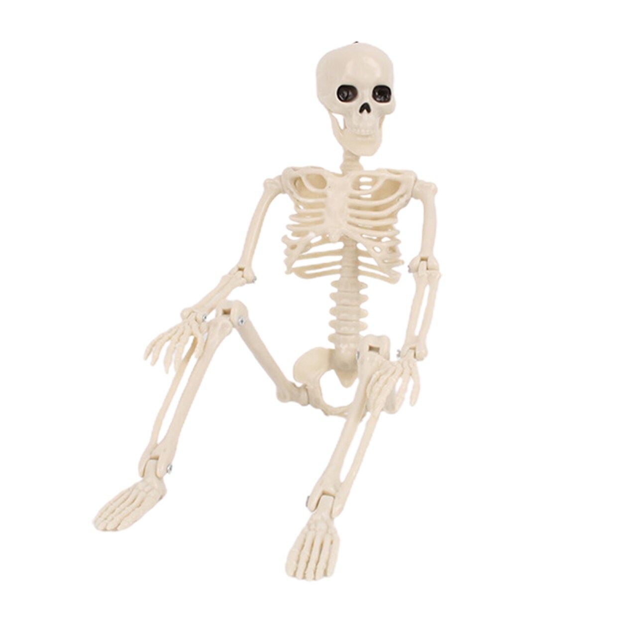 Halloween Skeleton Full Body Posable Joints Ornament Realistic Horrible ...