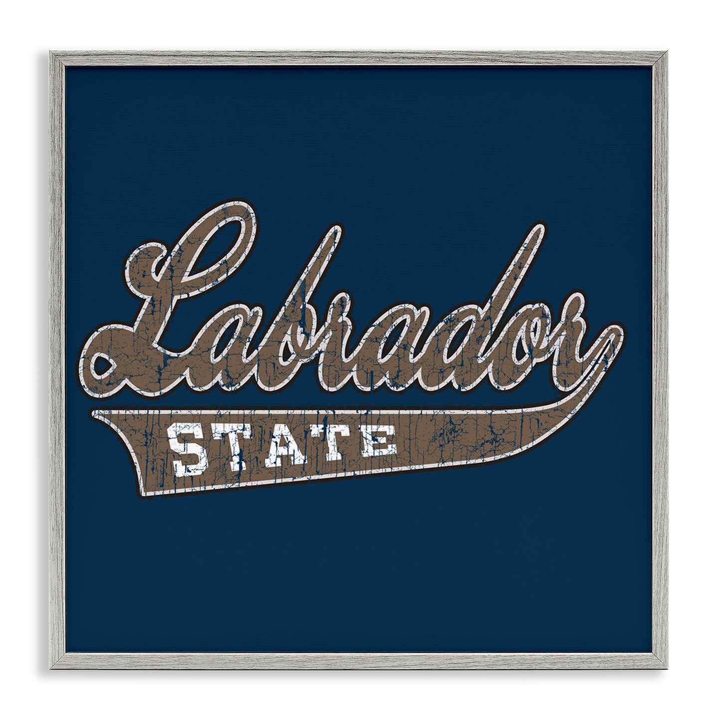 Stupell Industries Labrador State Varsity Framed Giclee Wall Art Design ...