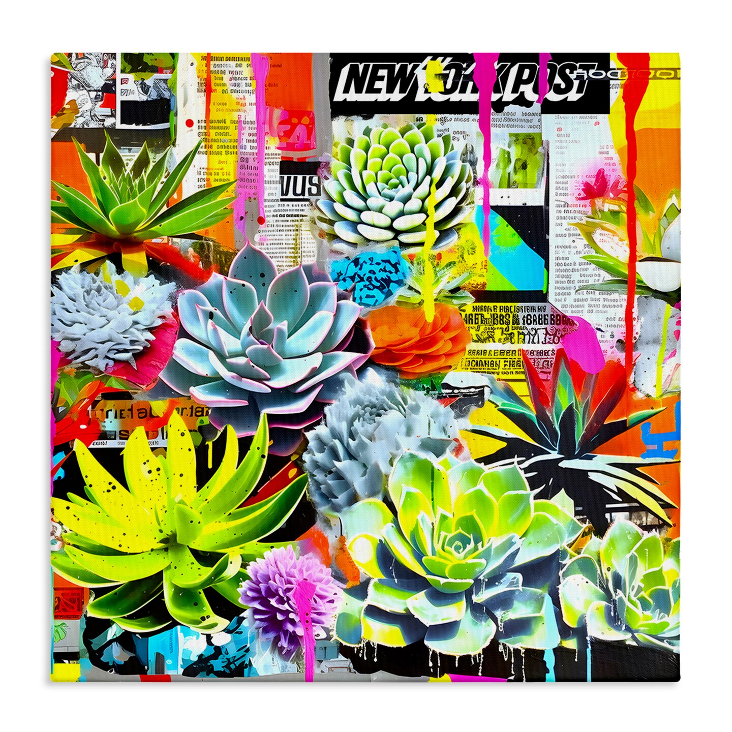 Stupell Industries Urban Graffiti Succulents Canvas Wall Art Design by ...