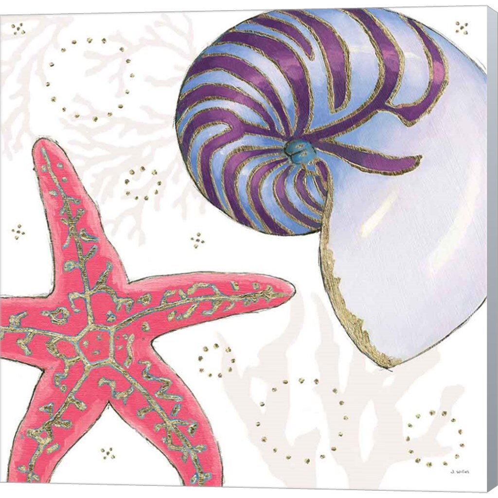 Shimmering Shells II by James Wiens - 24x24 Canvas Art Print, Size ...