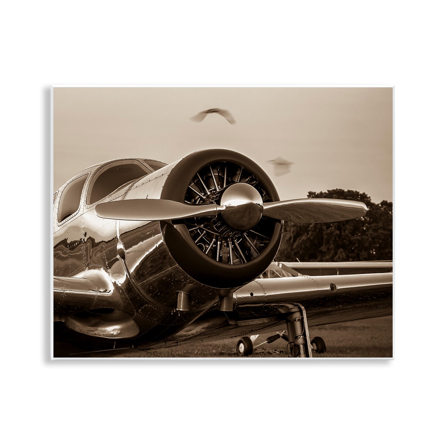 Stupell Industries Vintage Propeller View Wall Plaque Art Design by ...