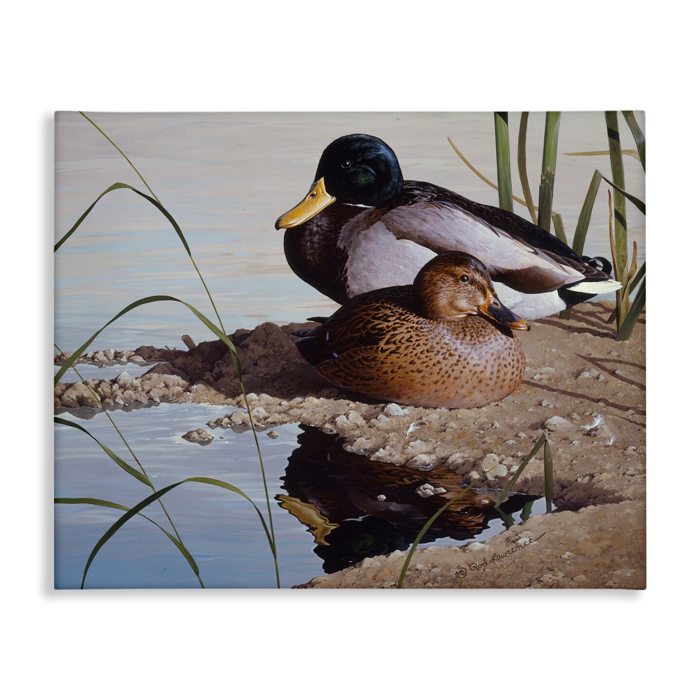 Stupell Industries Two Ducks Water's Edge Canvas Wall Art Design by Rod ...