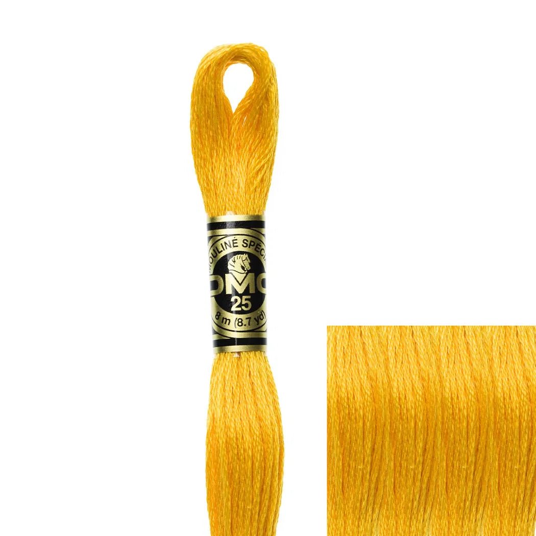 DMC Embroidery Floss, 6-Strand - Deep Canary #972 | Michaels