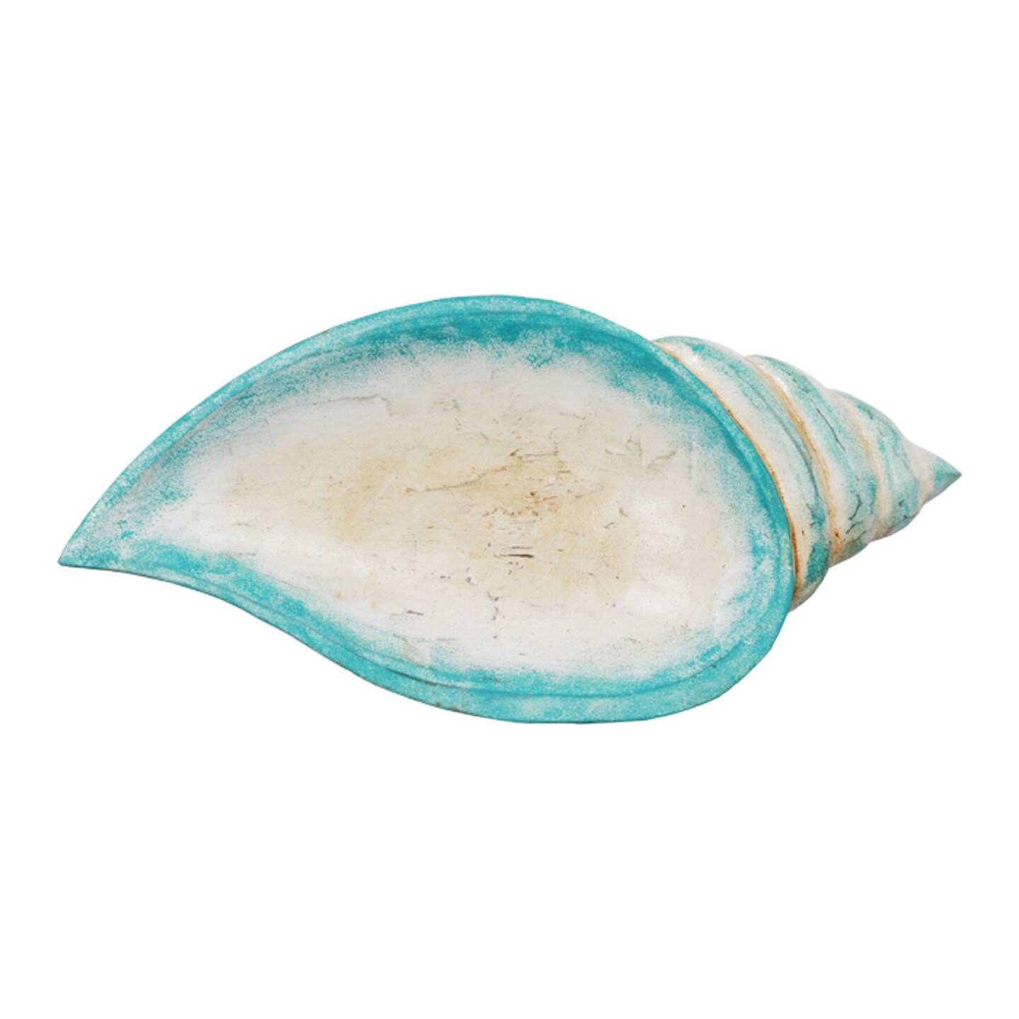 Wood Conch Shell Bowl | Michaels