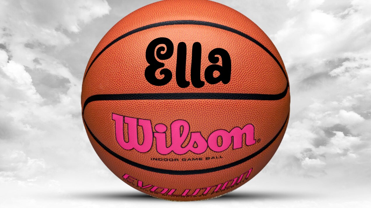 Customized Personalized Wilson Evolution Indoor Official Basketball in ...