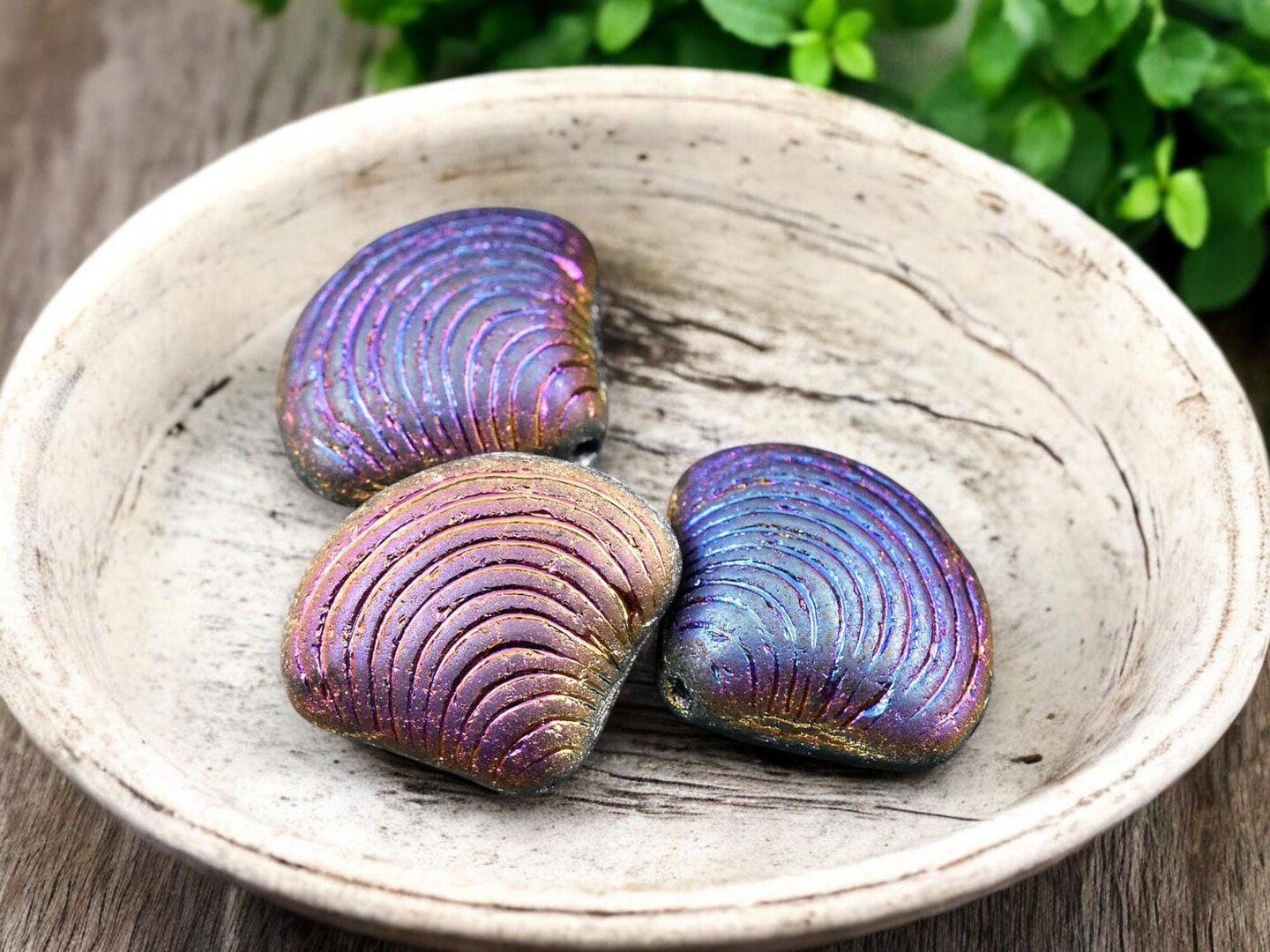 *8* 15x18mm Metallic Volcano Sea Shell Beads | Michaels