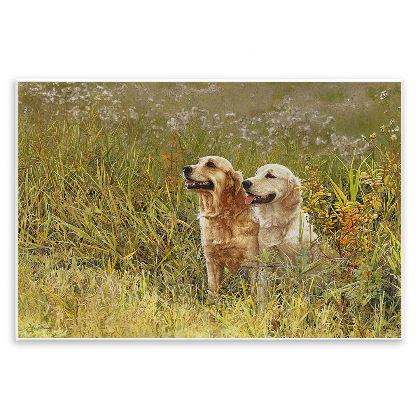 Stupell Industries Happy Dogs Field Day Wall Plaque Design by Sueellen ...