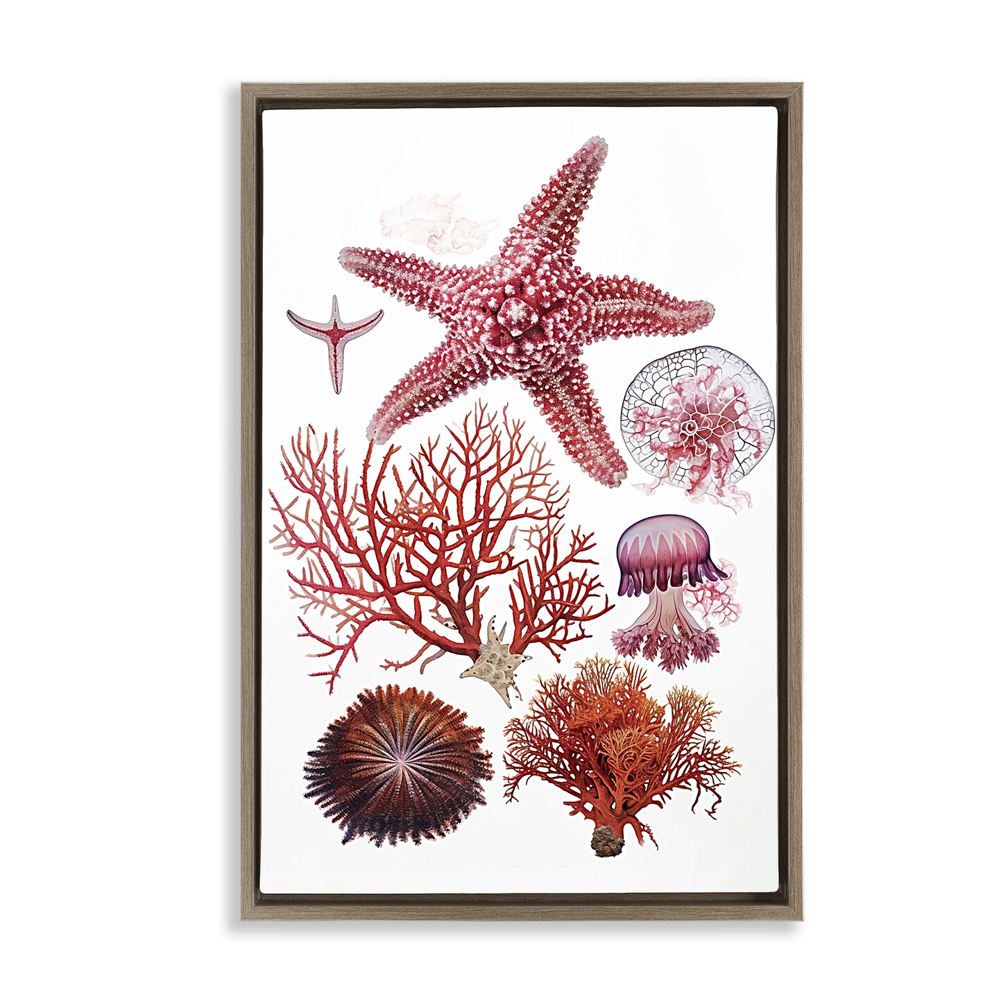 Stupell Industries Rosy Undersea Creatures Floating Frame Design by ...