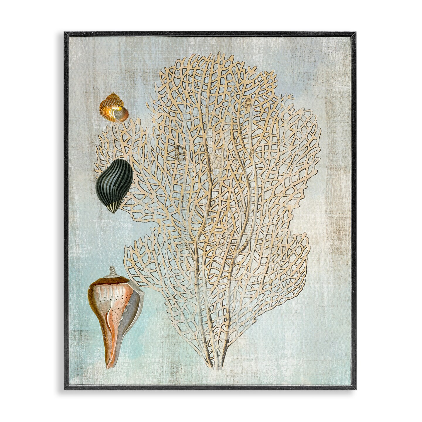 Stupell Industries Detailed Coral & Seashells Framed Giclee Design by Susan Arnot | Michaels