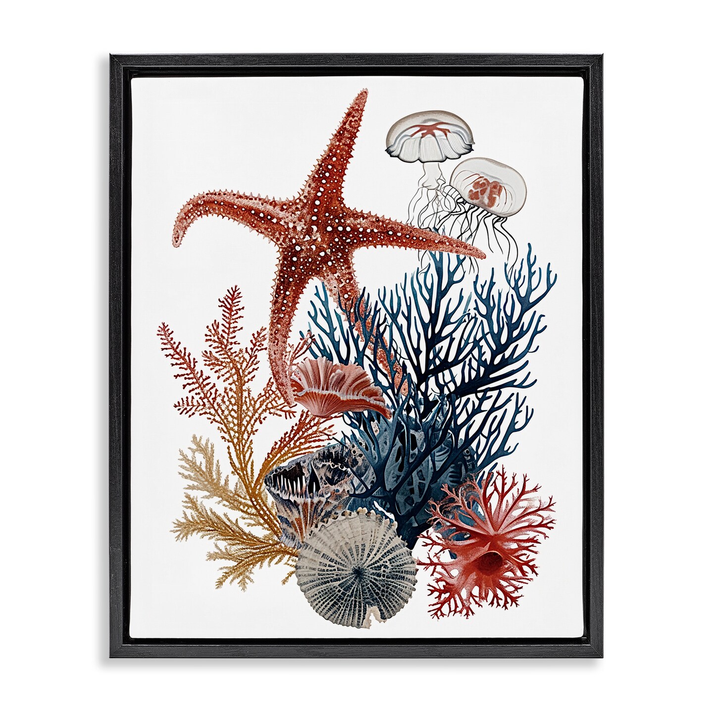 Stupell Industries Natural Aquatic Sea Creatures Floating Frame Design ...