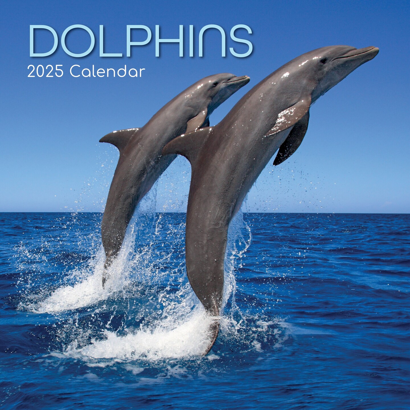 The Gifted Stationary 2025 Square Wall Calendar, Dolphins, 16-Month ...