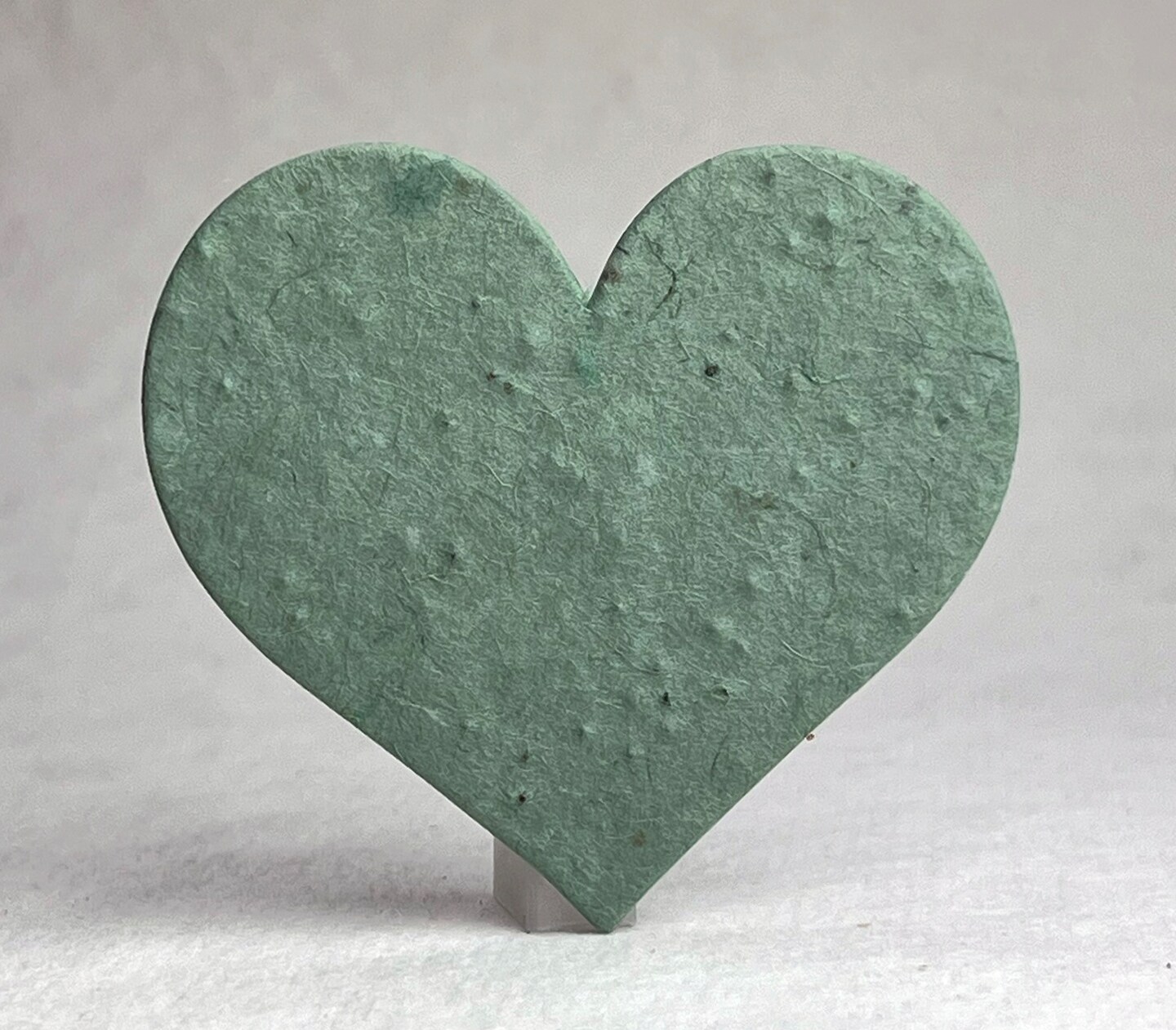 Wildflower Seed Paper Large Hearts - Lotka Paper Embedded with Seeds ...