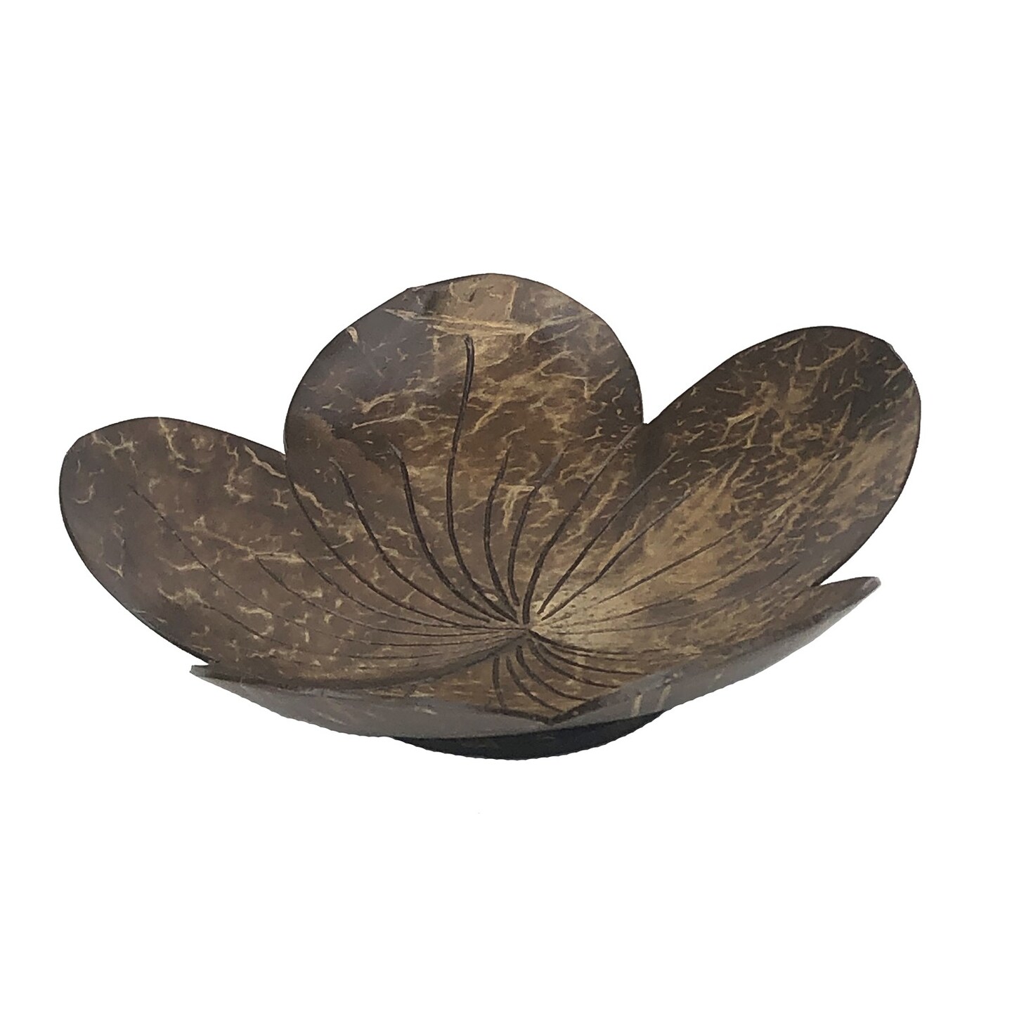 Coco Shell Flower Snack Dish | Michaels