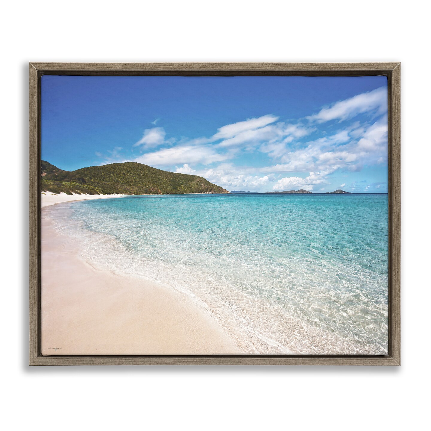 Stupell Industries Coastal Caribbean Shoreline Floating Frame, design ...