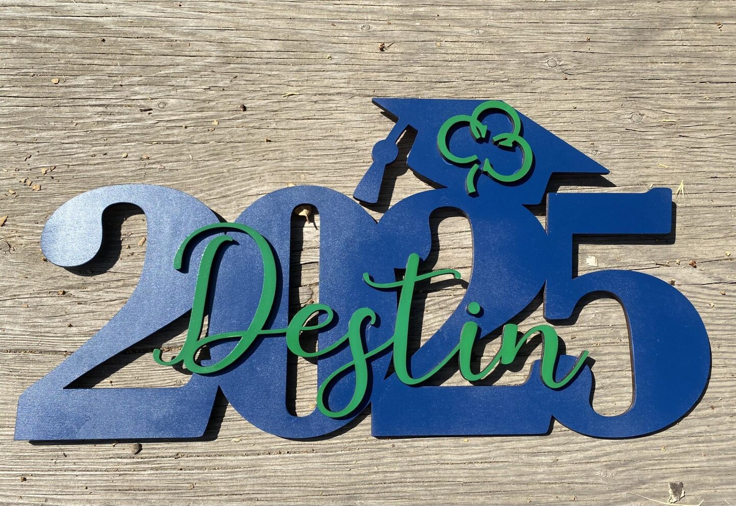 2025 Graduation prop, Graduation picture, College Grad, Graduation gift ...