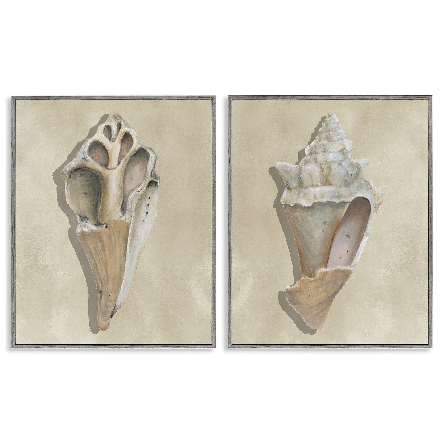 Stupell Industries Broken Beach Shells 2pc Framed Giclee Set By Michael ...
