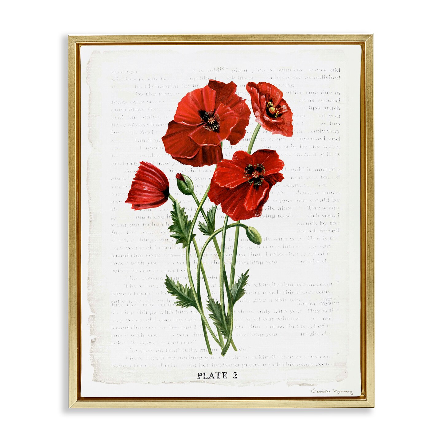 Stupell Industries Vintage Poppy Study Floating Frame By Danielle Murray | Michaels