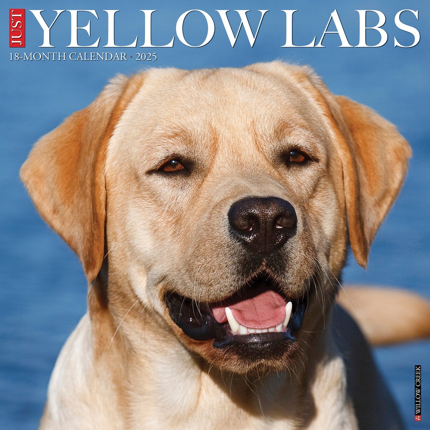 Yellow Labs 2025 Wall Calendar | Michaels
