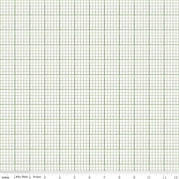 Graph Paper in Green (c13051-green) | Journal Basics | J Wecker Frisch | Riley Blake | Michaels