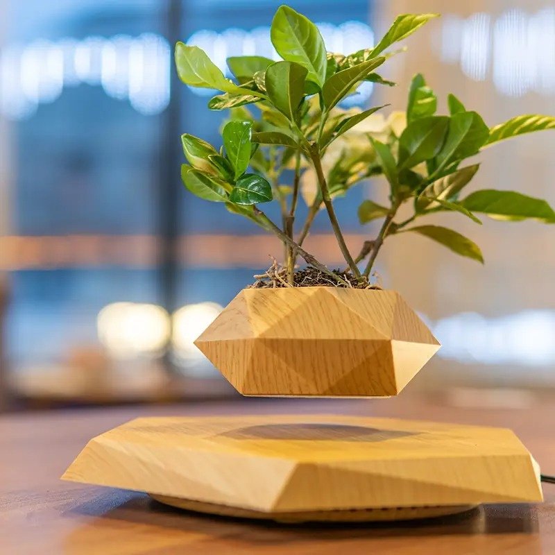 Edge Collections -Magical Levitating Plant Pot for Small Plants-1 pcs ...