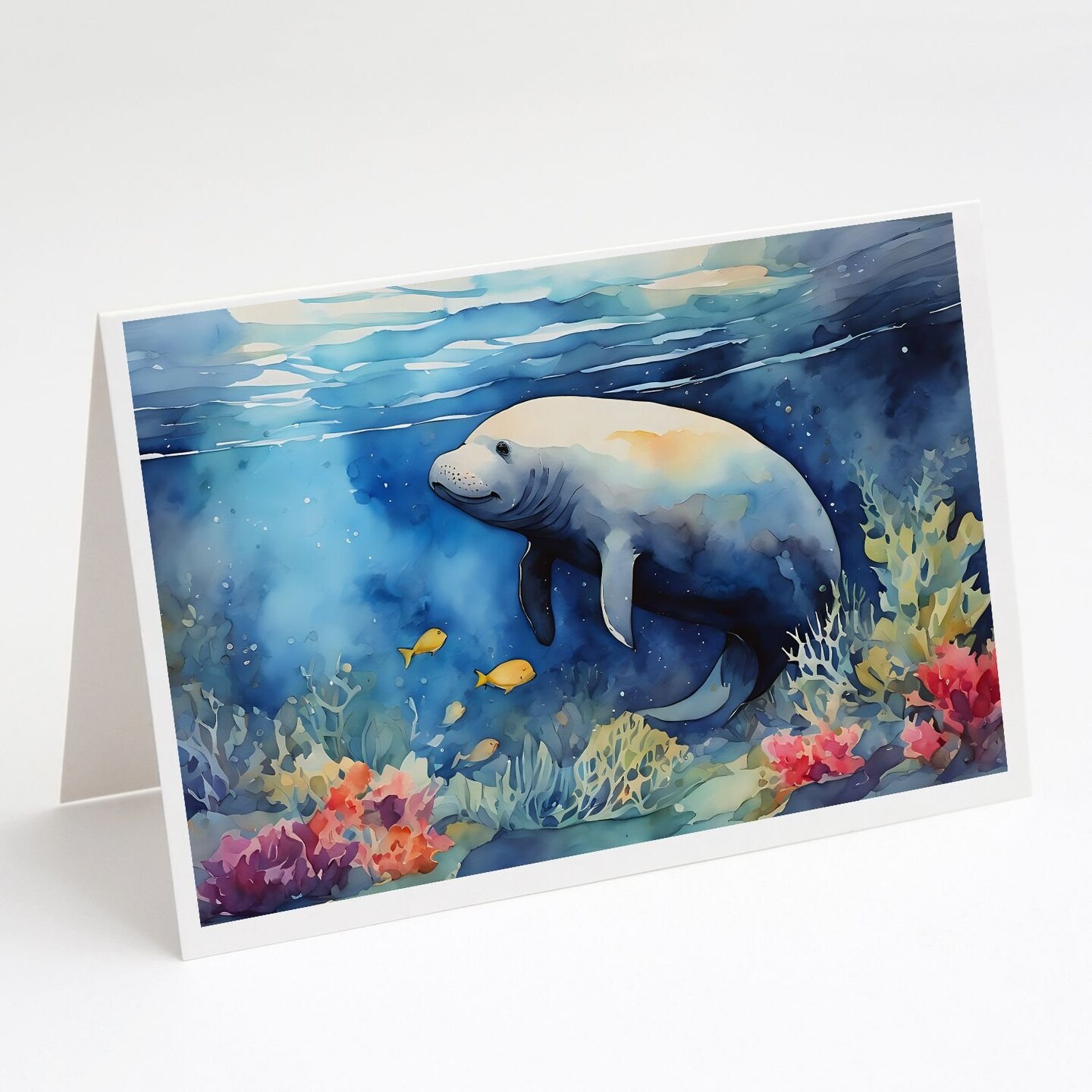 Edge Collections - 5" x 7" - Blank Greeting Cards for Creative Messages ...